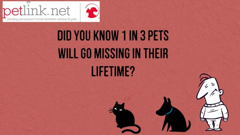 Why Microchip Your Pet from PetLink.net - PetLink