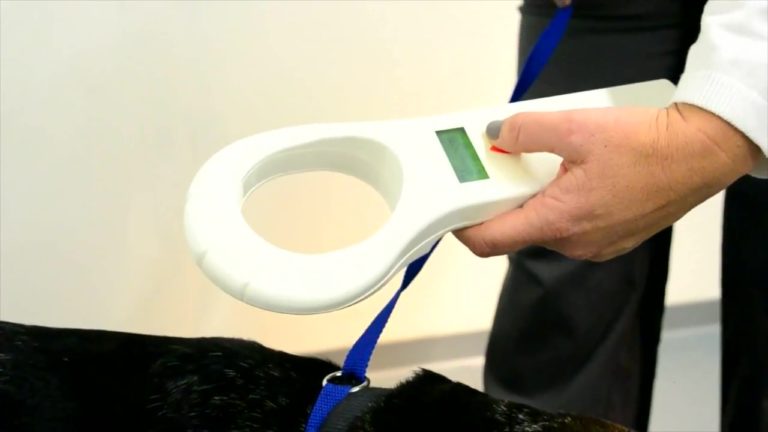 Microchip Guide - PetLink