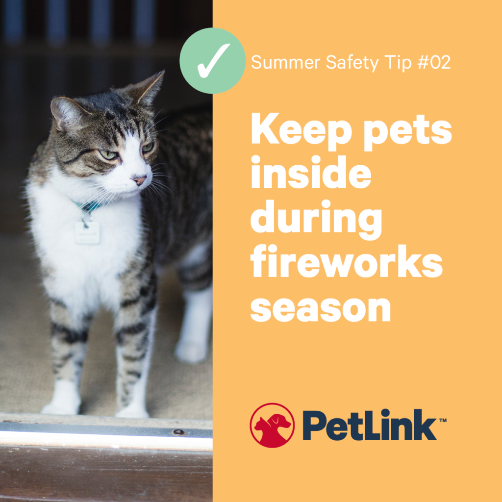 Summer Safety Tips Archives - PetLink