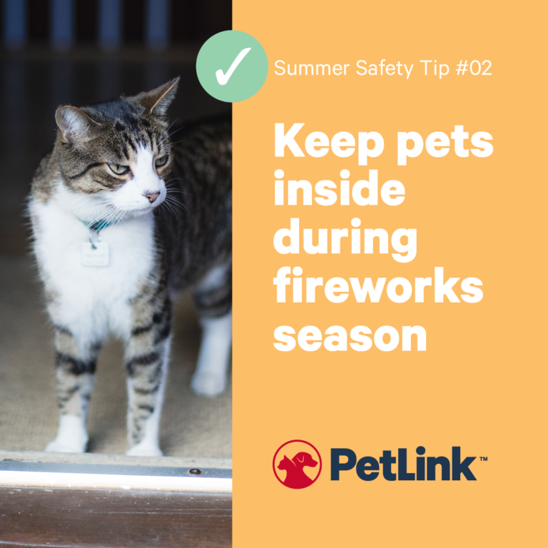 Summer Safety Tips Archives - PetLink