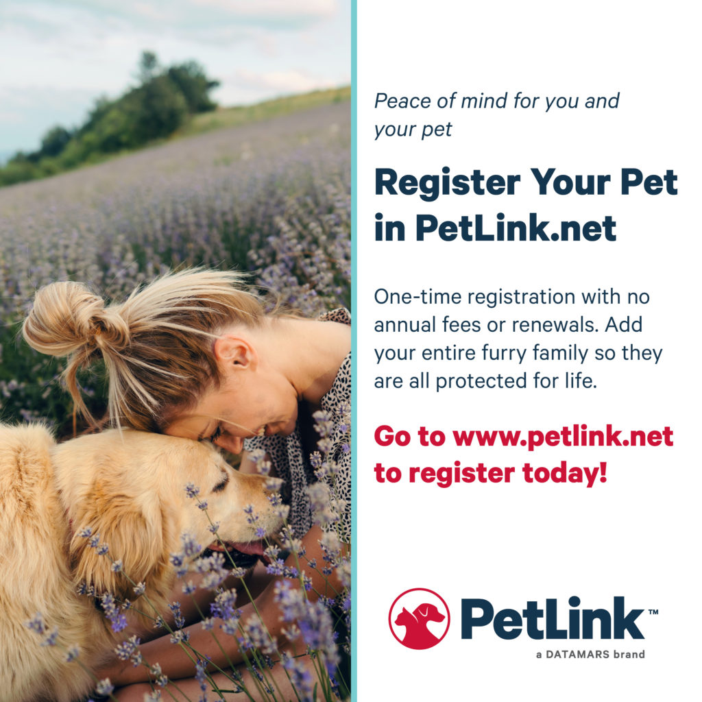 Promotional PetLink Social Media Ads Archives - PetLink